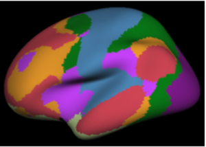 Cortical Atlas Parcellations (MNI-Space) – Lead-DBS