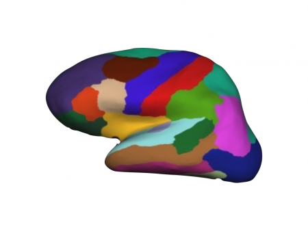 Cortical Atlas Parcellations (MNI-Space) – Lead-DBS