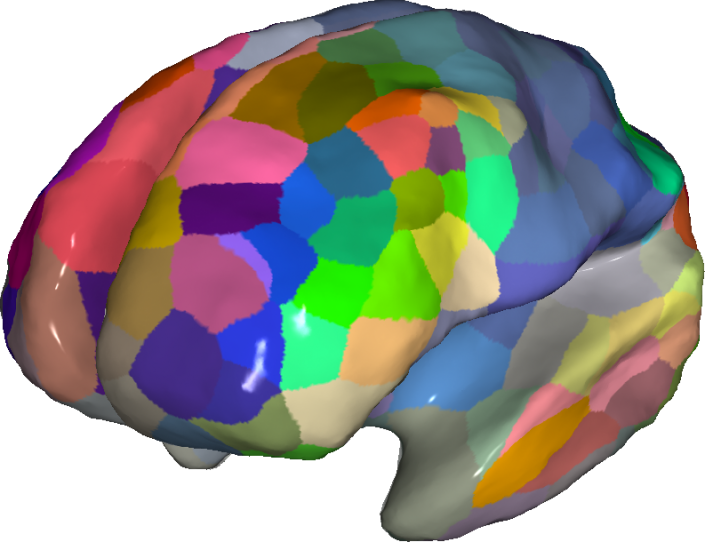 Cortical Atlas Parcellations (MNI-Space) – Lead-DBS