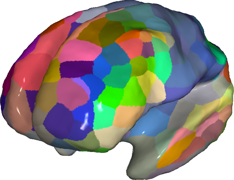 Cortical Atlas Parcellations (MNI-Space) – Lead-DBS